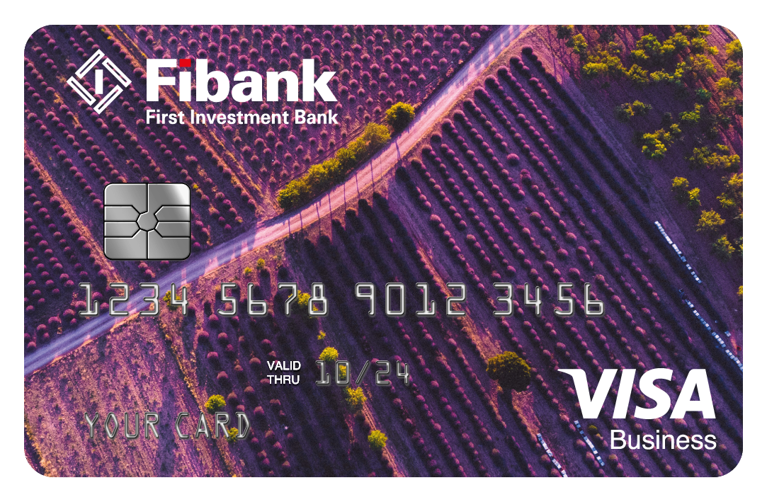 Visa Premium offers / Special offers for premium cards / Credit Cards ...